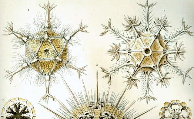 Le Ricolais | axonométrica